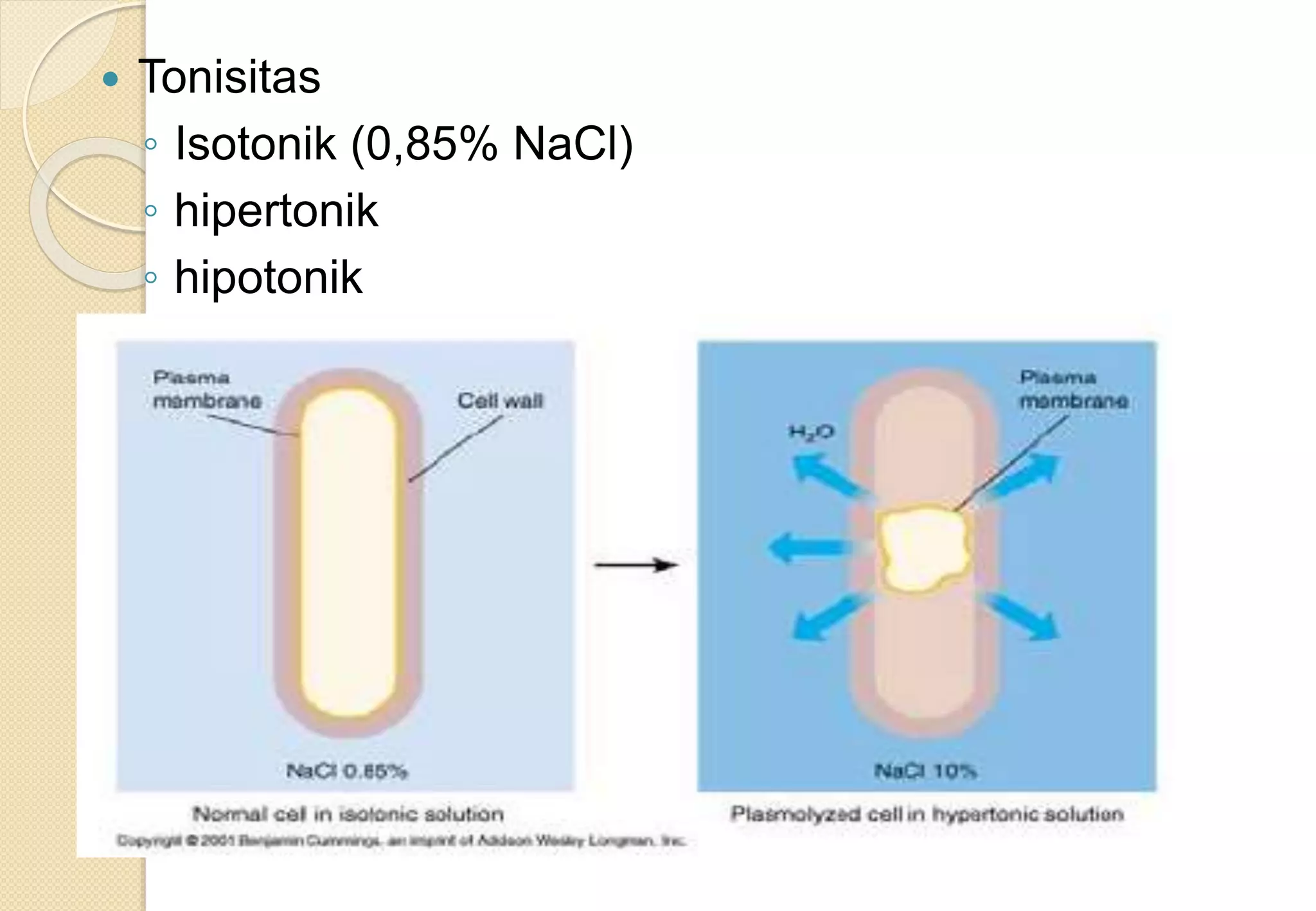 PPT_Teknologi_Fermentasi.pptx