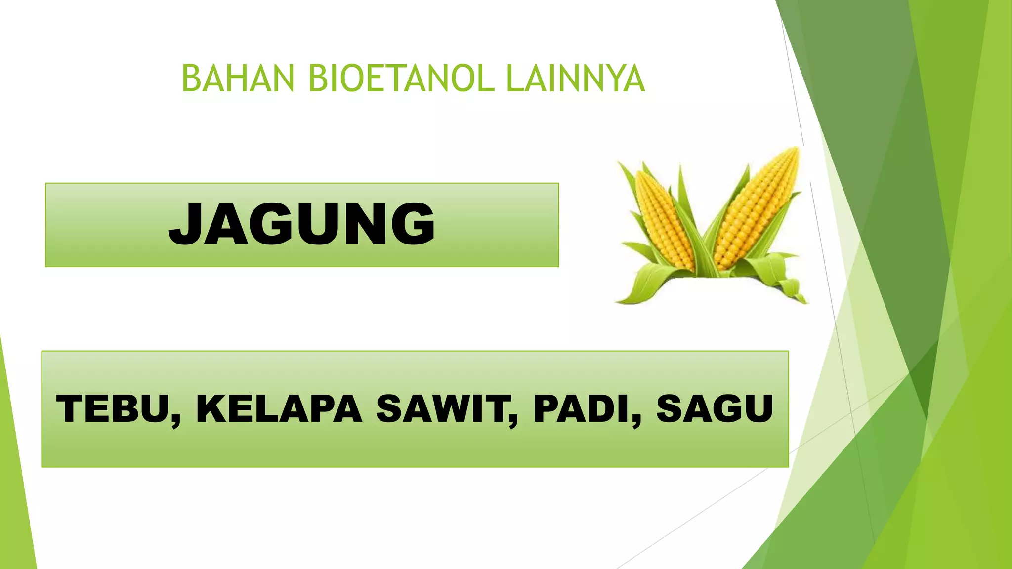 PPT Tema 5 Pahlawanku.pptx