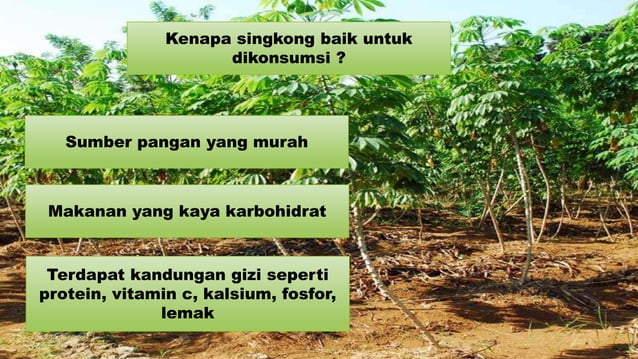 PPT Tema 5 Pahlawanku.pptx