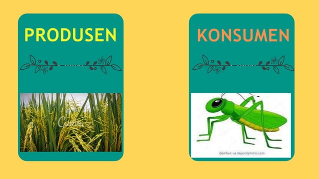 PPT TEMA 5 ST 2 PB 5 Makhluk Hidup dalam ekosistem Pembelajaran 6 | PPT