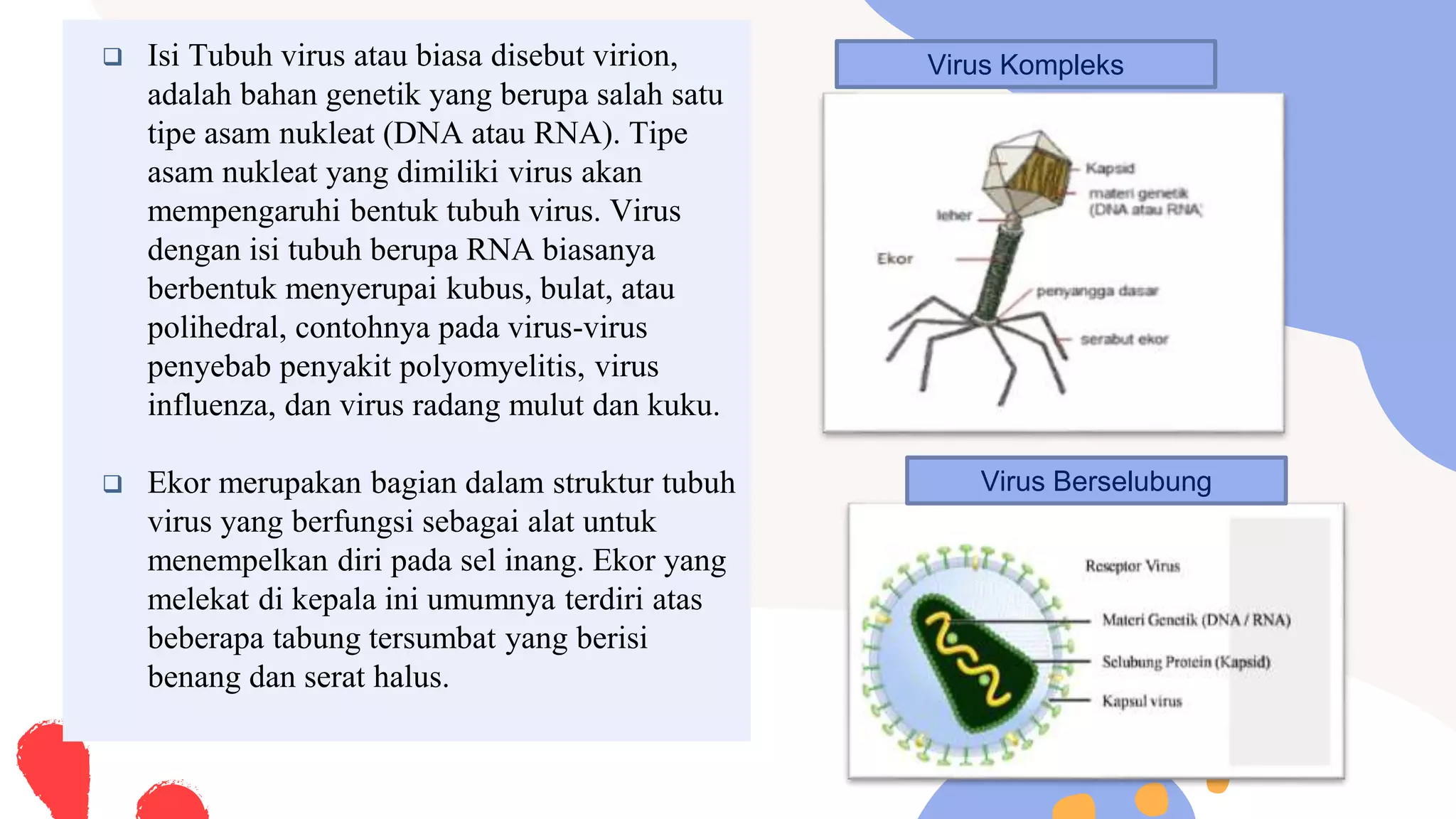 Ppt Tentang Virus | PPT