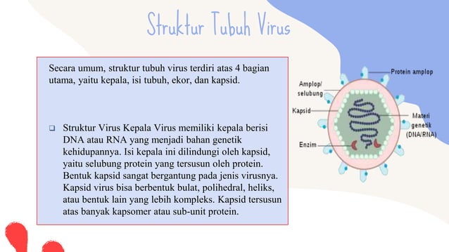 Ppt Tentang Virus | PPT