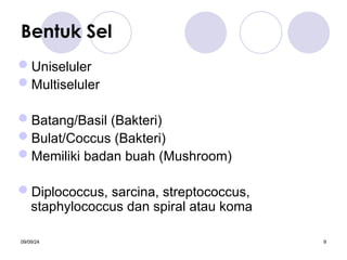 PPT Teori Sel Tumbuhan dan Hewan Kelas XI | PPT