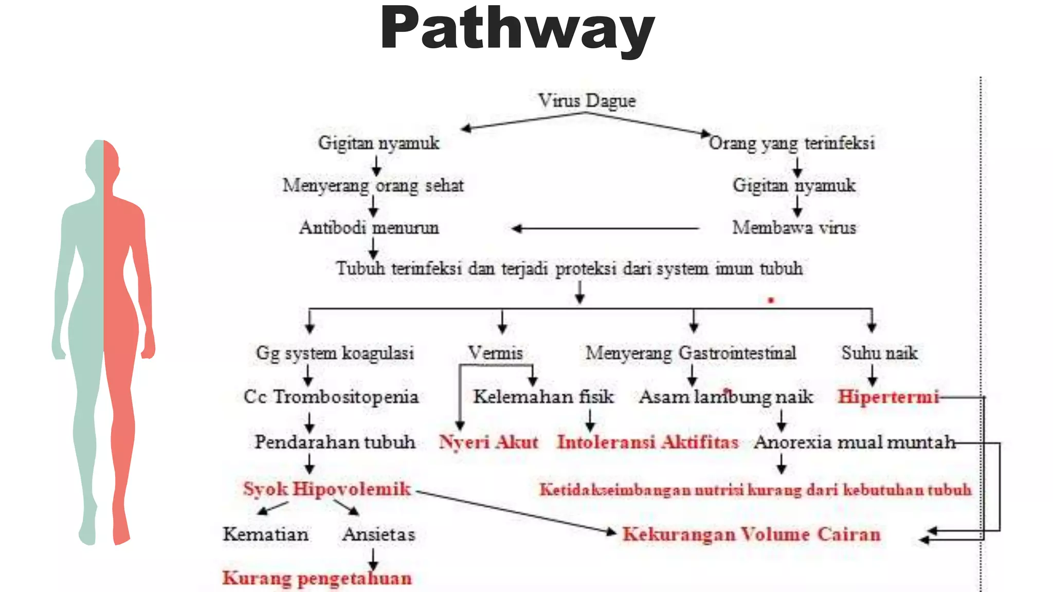 DSS casse report.pptx