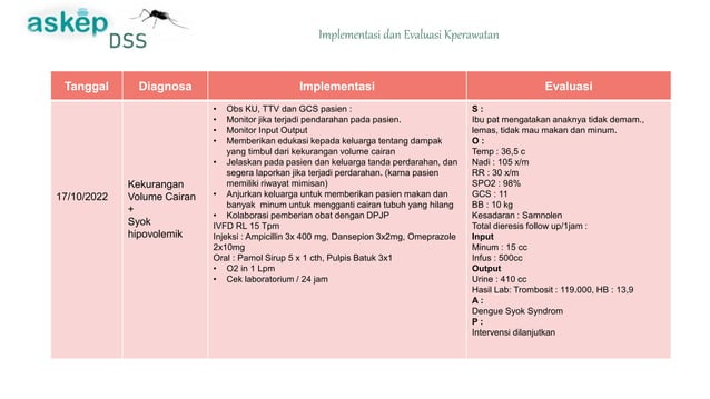 DSS casse report.pptx