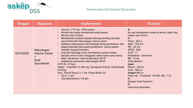 DSS casse report.pptx