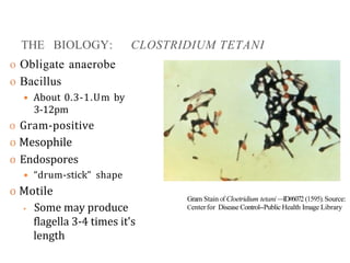 Power Point of Tetanus and vaccine -1.pptx