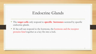 The endocrine system | PPTX | Endocrine and Metabolic Diseases ...
