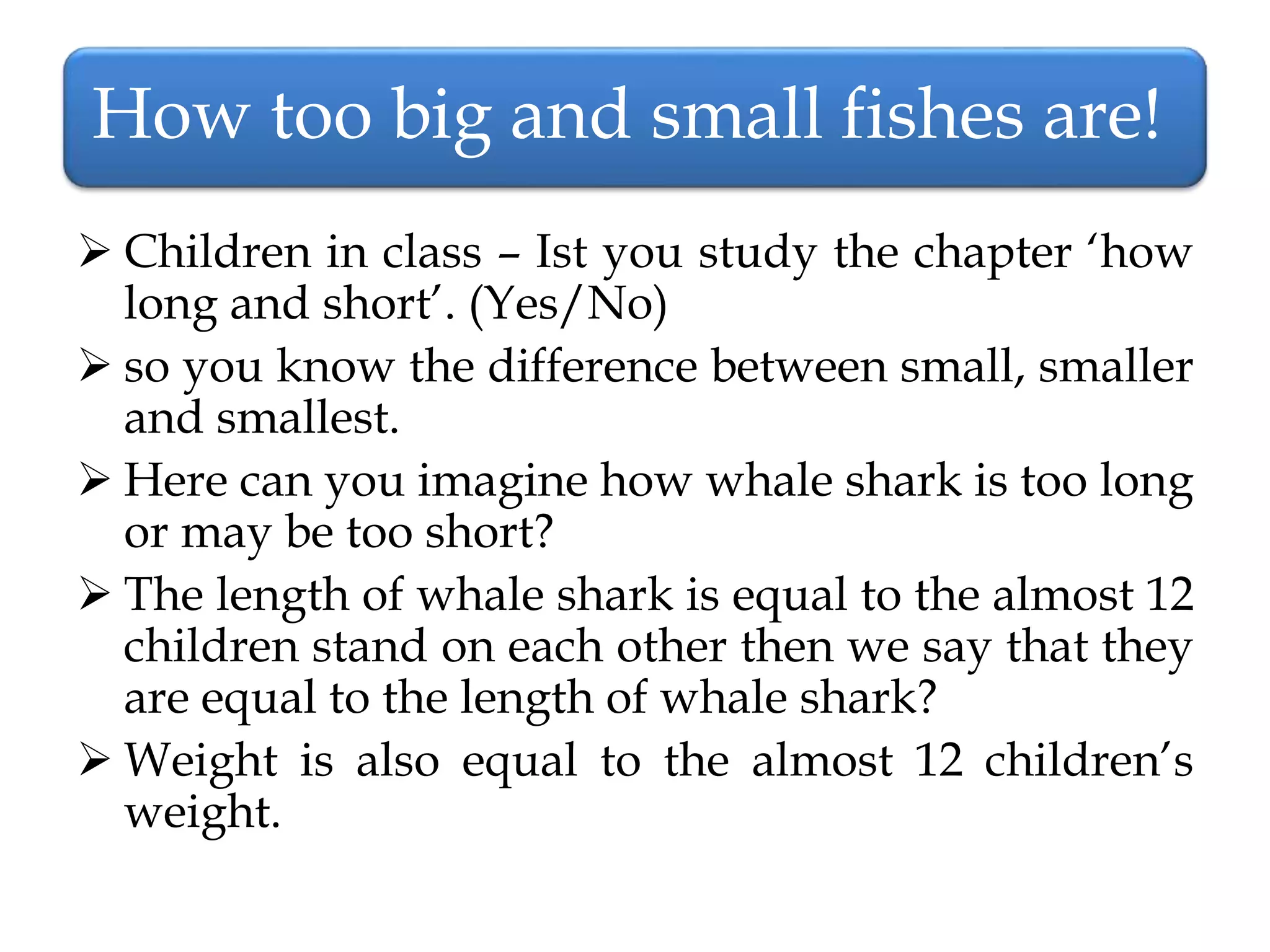 The Fish Tail | PPTX