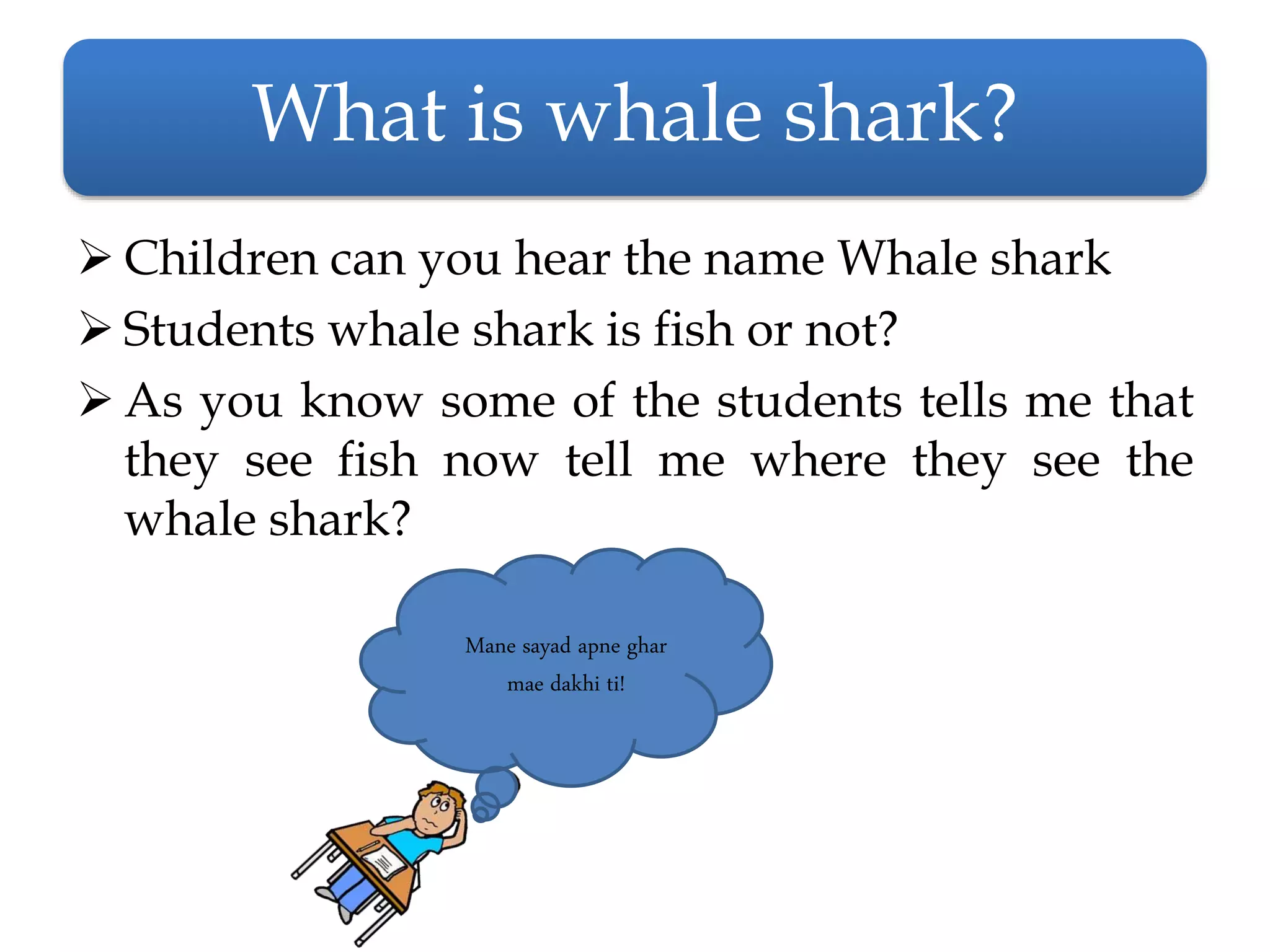 The Fish Tail | PPTX