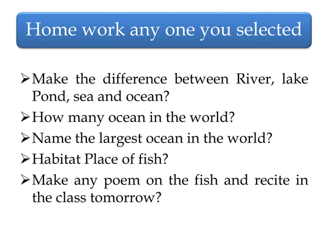 The Fish Tail | PPTX