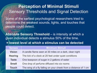 The Interpretation of Sensory Information | PPTX