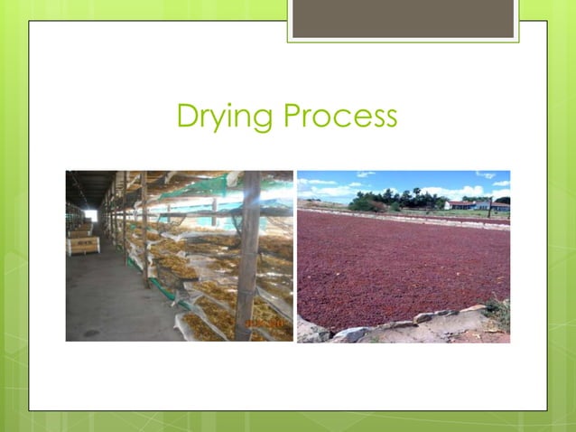 Ppt The Raisin Company | PPTX