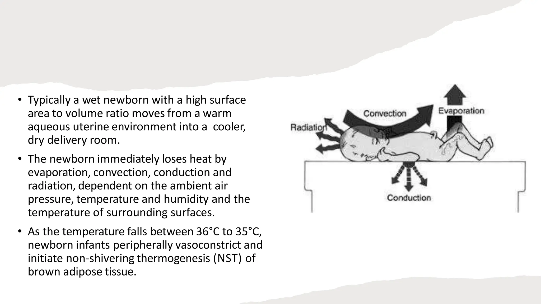 ppt thermo slide neonate presentation.pdf | Pregnancy | Reproductive Health