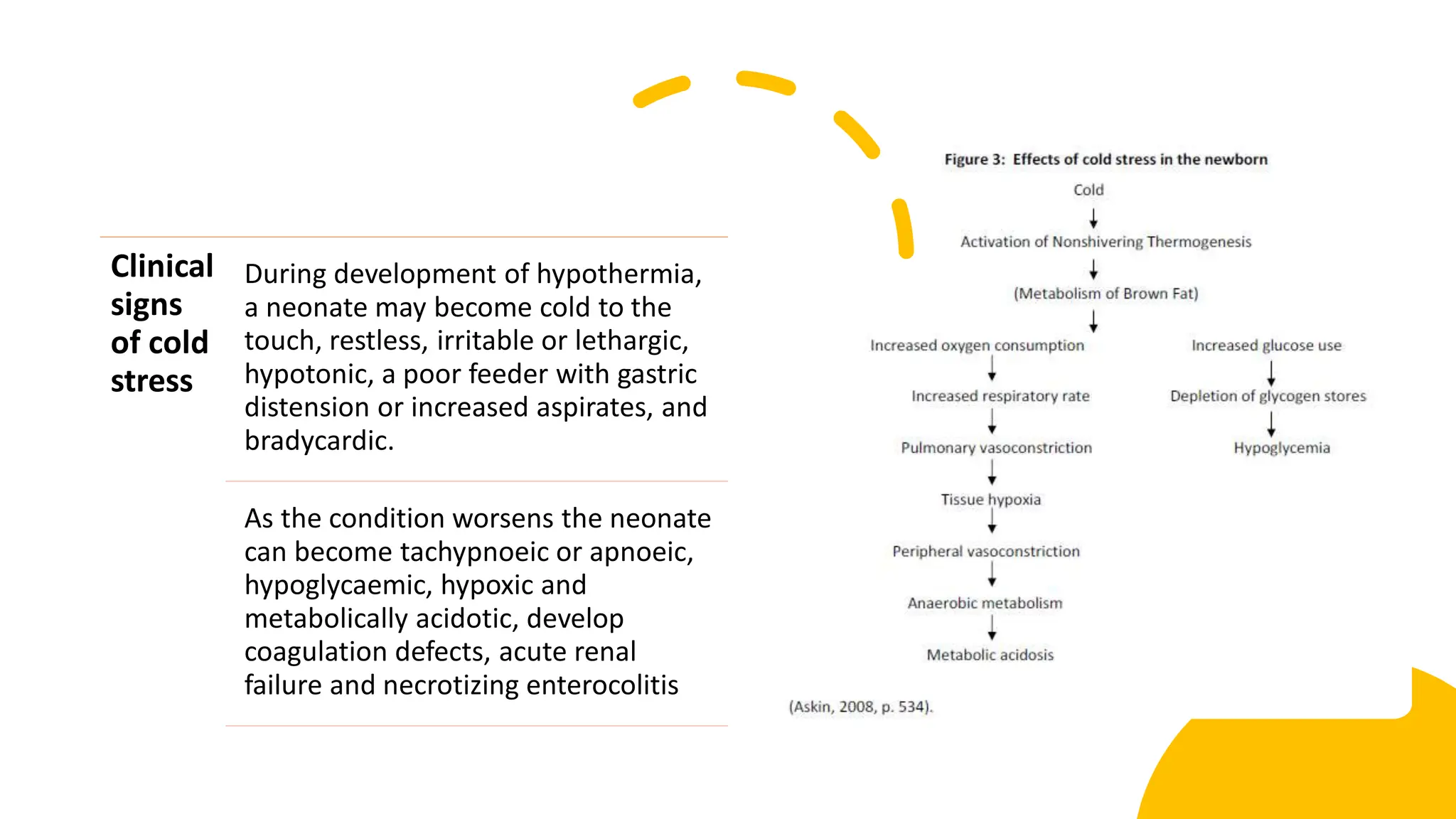 ppt thermo slide neonate presentation.pdf | Pregnancy | Reproductive Health