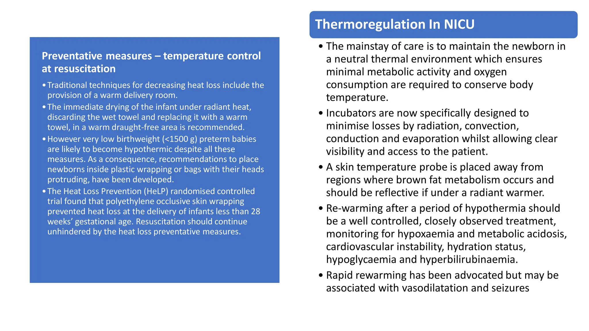 ppt thermo slide neonate presentation.pdf | Pregnancy | Reproductive Health