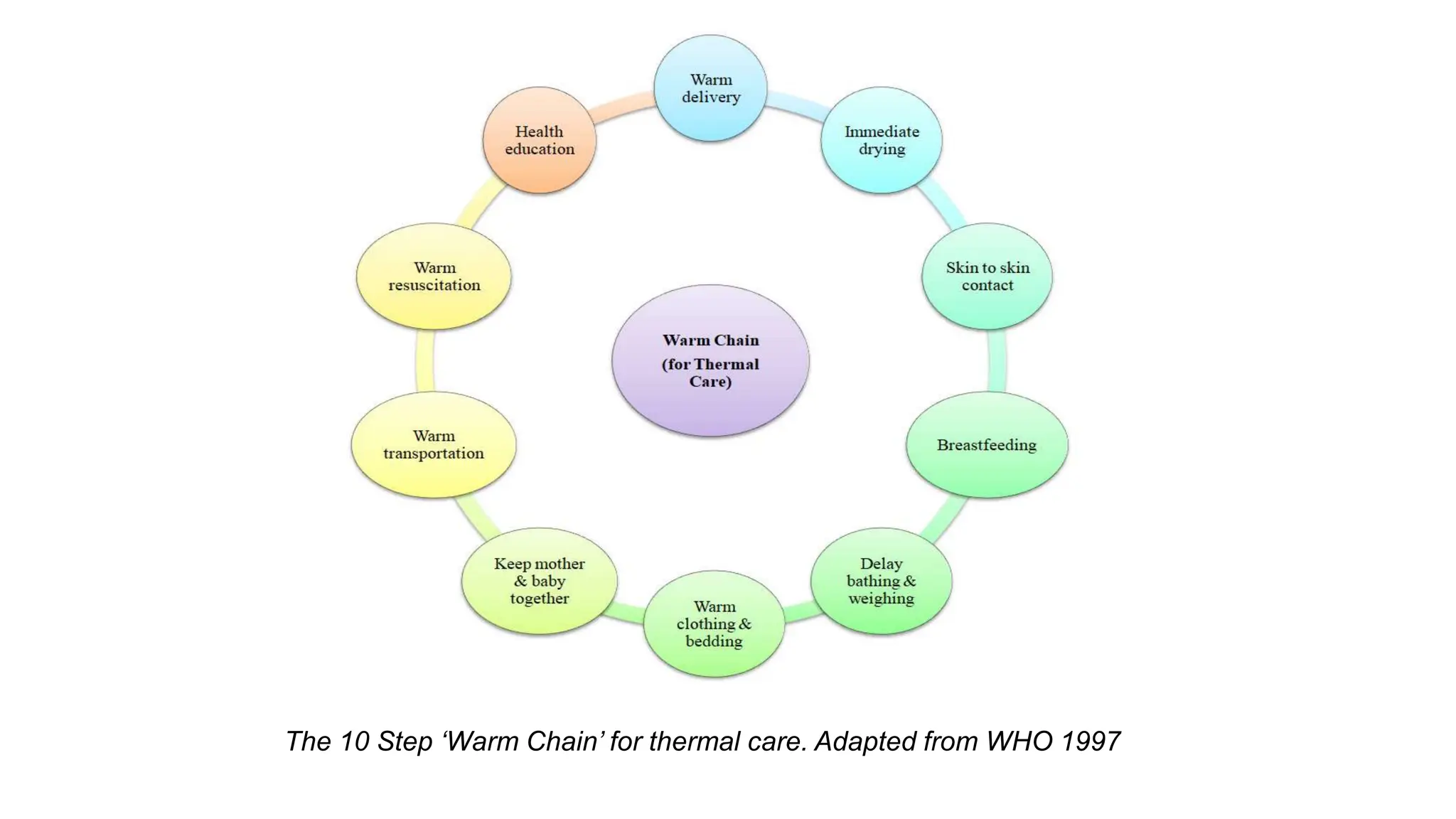 ppt thermo slide neonate presentation.pdf | Pregnancy | Reproductive Health