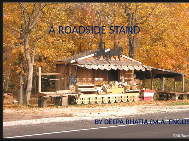 PPT THE ROADSIDE STAND english Flamingo.pptx