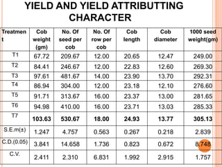 PPT THESIS Physiological and biochemical response of Maize | PPTX