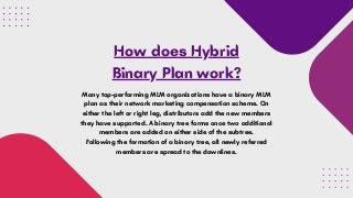 Things you should know about Hybrid Binary Plan.pdf