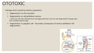 Ototoxic PPT Dr.dr.HR Yusa Herwanto, MKed(ORL-HNS), Sp.THTKL(K) | PPTX