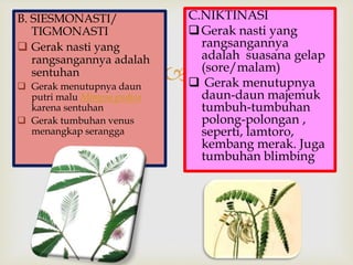 Gerak Pada Tumbuhan Untuk Kelas 8 SMP/MTs | PPTX