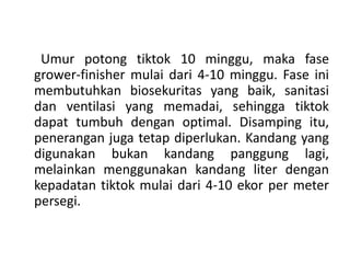 PPT TIK TOK SMA N 2 Klaten Biologi Lingkungan Materi Tik Tok (Itik dan ...