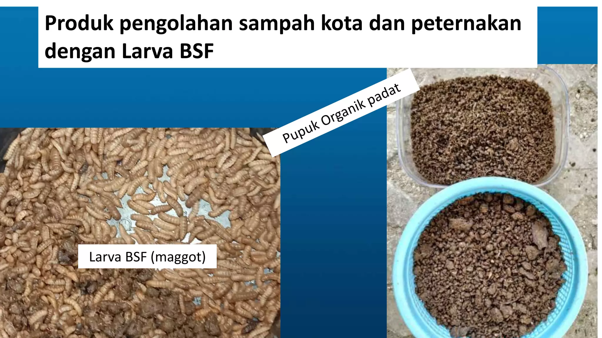 ppt tim 3 magot revisi 1..pptx