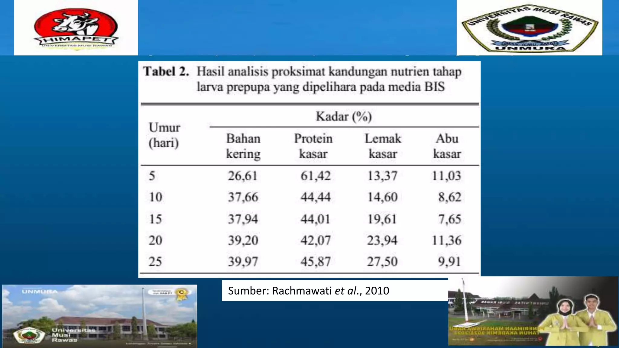ppt tim 3 magot revisi 1..pptx