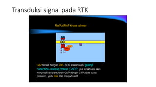 Ppt tirosin kinase | PPTX