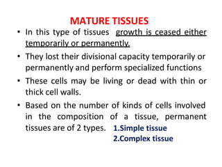 ppttissuesystems-190430075739.pptx | Biological Sciences | Science