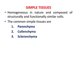 ppttissuesystems-190430075739.pptx | Biological Sciences | Science