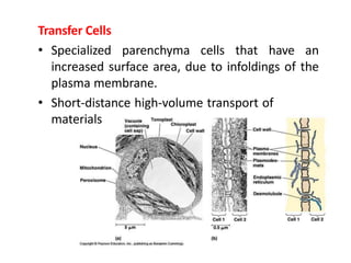 ppttissuesystems-190430075739.pptx | Biological Sciences | Science