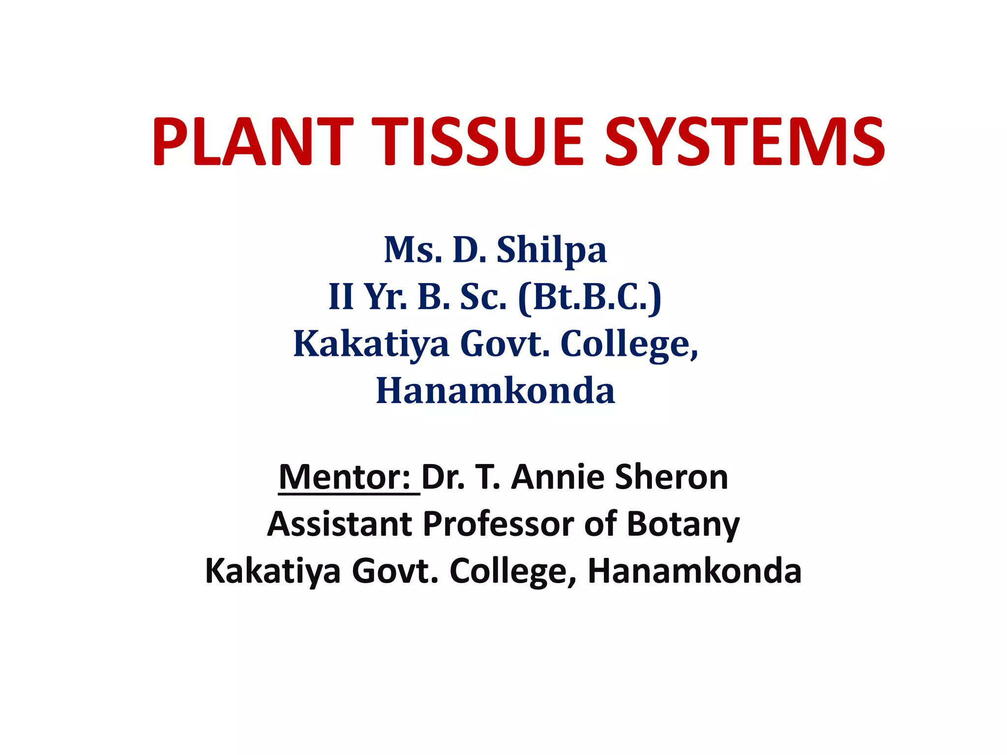 Plant tissue systems | PPTX
