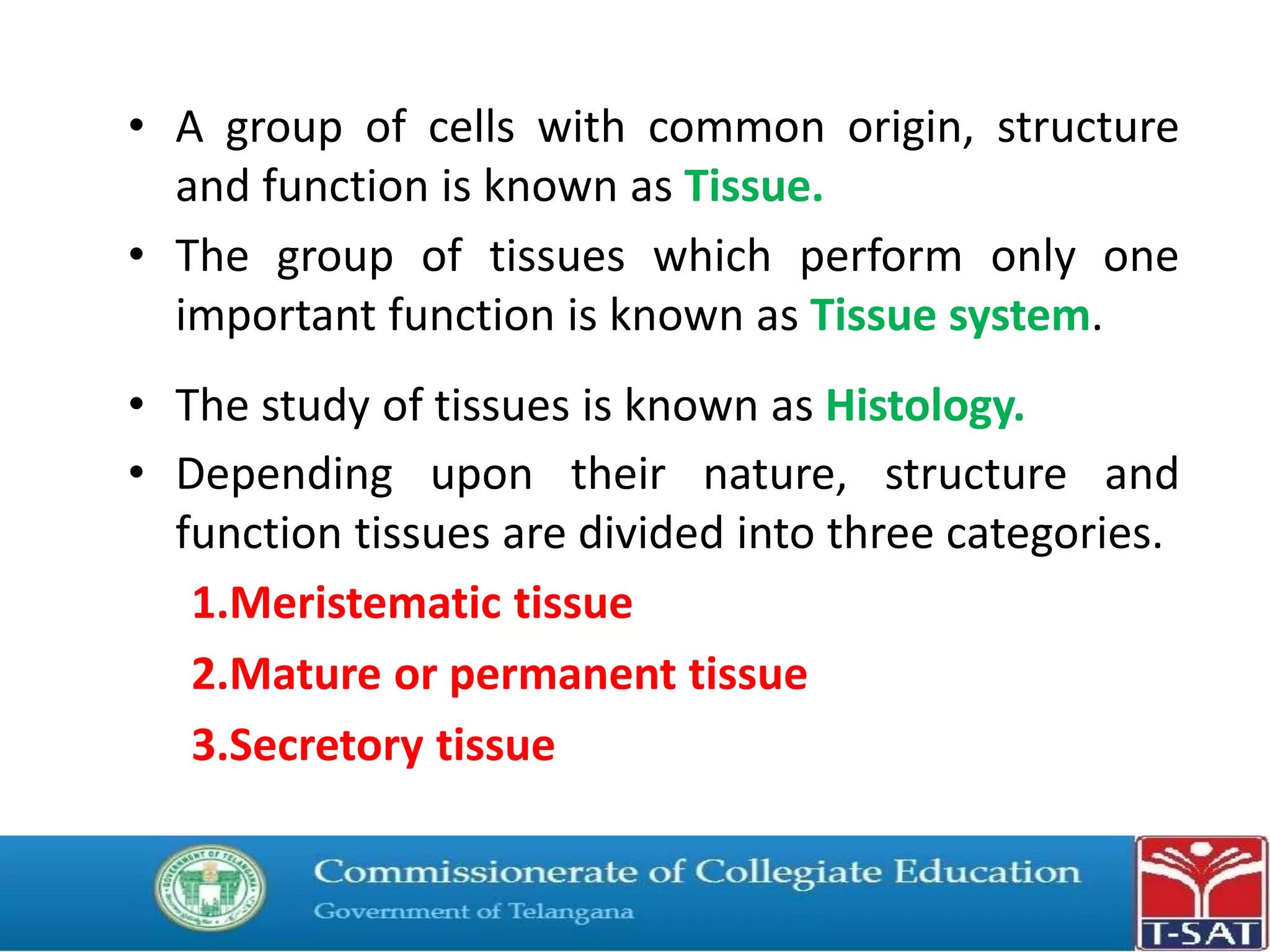 Plant tissue systems | PPTX