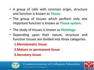 Plant tissue systems | PPTX