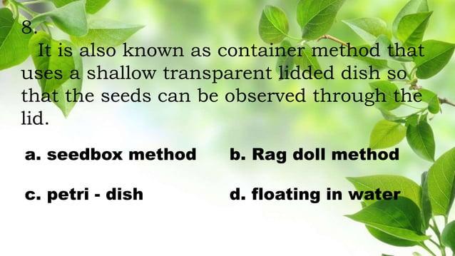PPT TLE 7 and 8 Q3 AGRI CROP QUIZ 2.pptx