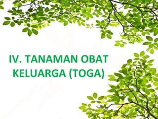 Ppt Tanaman Obat Keluarga ( TOGA) | PPT