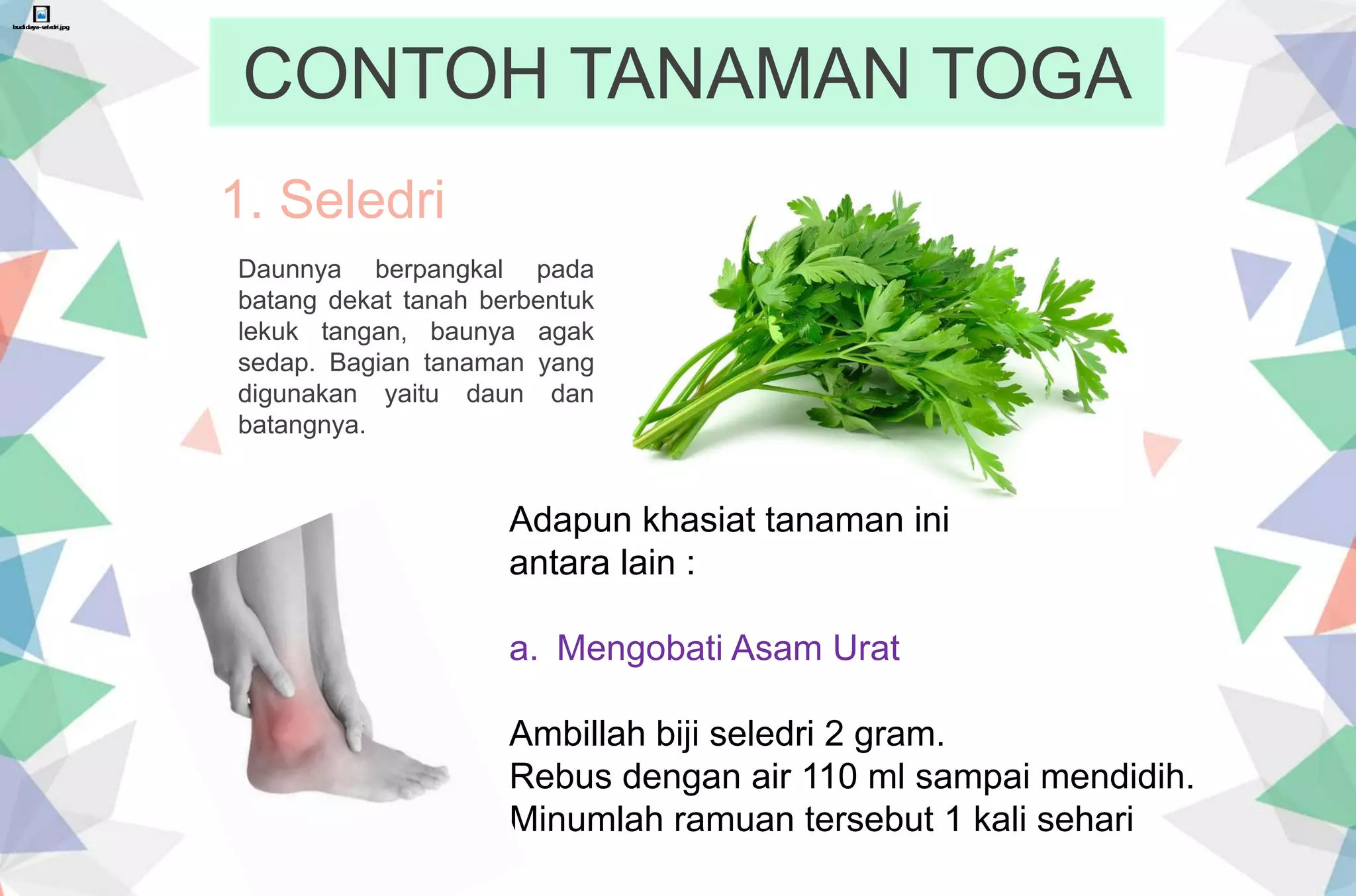 Pemanfaatan tanaman obat keluarga | PPTX