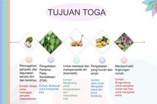 Pemanfaatan tanaman obat keluarga | PPTX