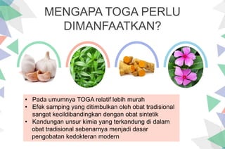 PPT_TOGA_FIX.pptx