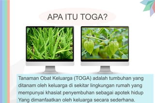 PPT_TOGA_FIX.pptx
