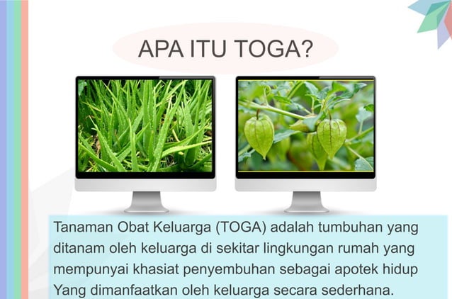 PPT_TOGA_FIX.pptx