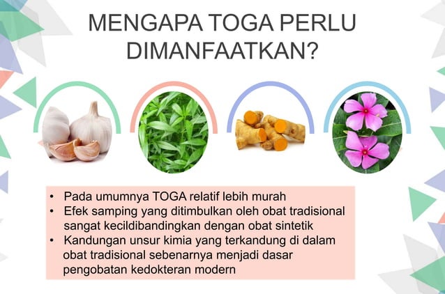 PPT_TOGA_FIX.pptx