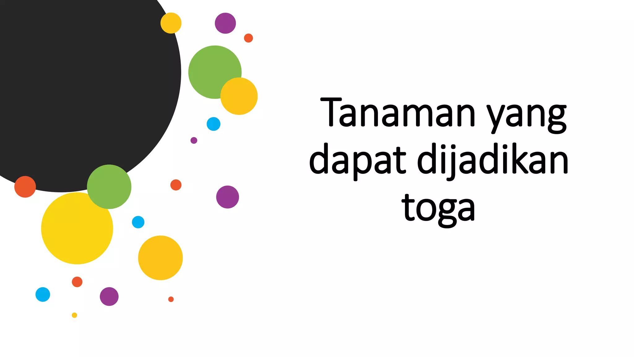 ppt toga novi.pptx