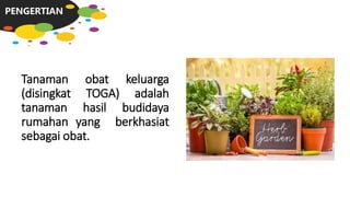 ppt toga novi.pptx