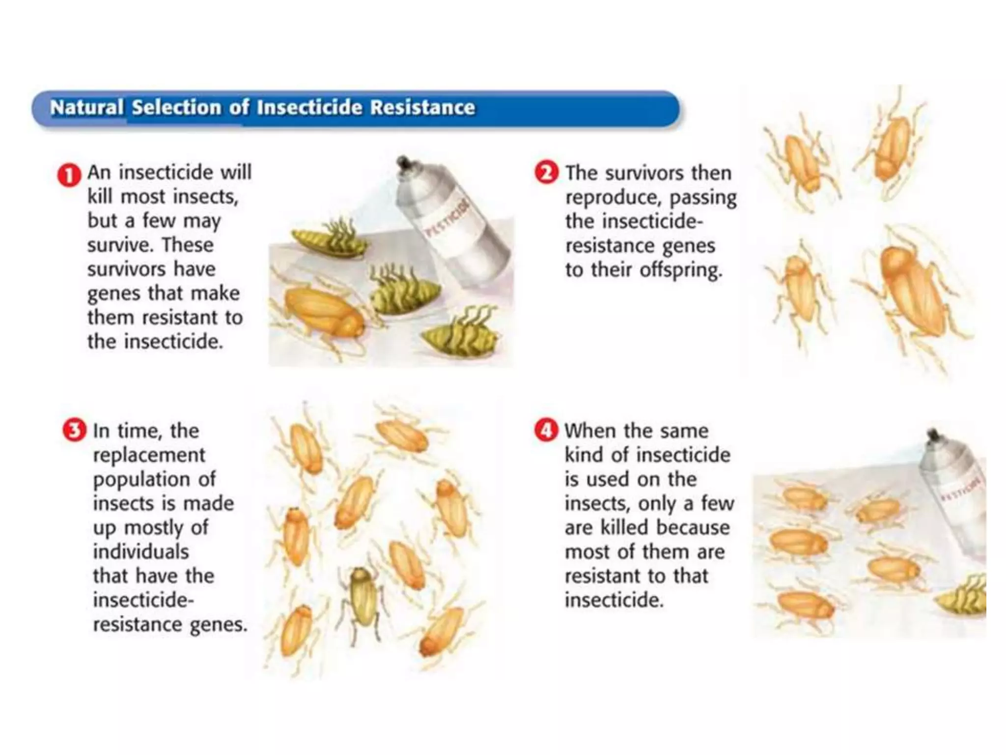 pest resistance to insecticides | PPTX
