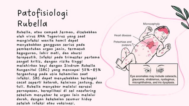 ppt Toxoplasma gondii (Toxo), Rubella, Cyto Megalo Virus (CMV), Herpes ...