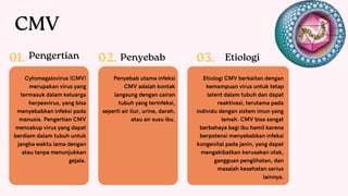 ppt Toxoplasma gondii (Toxo), Rubella, Cyto Megalo Virus (CMV), Herpes Simplex Virus (HSV) kel.3 ...