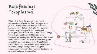 ppt Toxoplasma gondii (Toxo), Rubella, Cyto Megalo Virus (CMV), Herpes ...